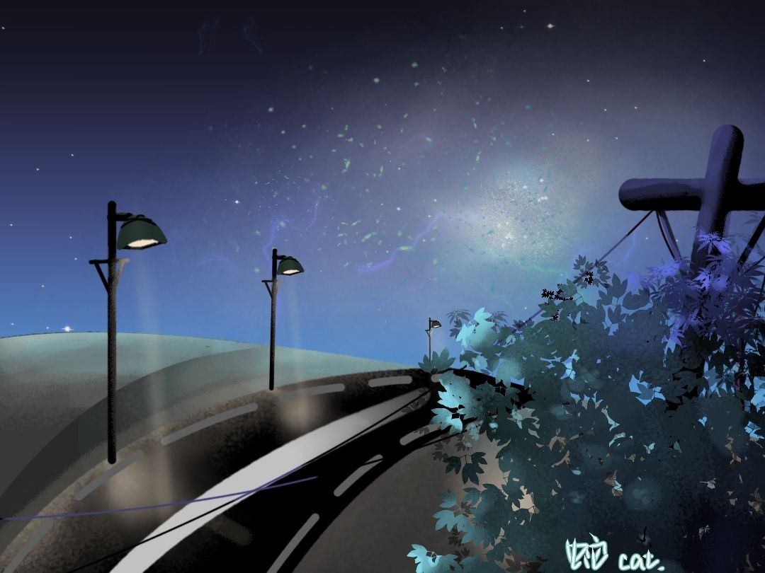 星夜_蛇cat-站酷ZCOOL