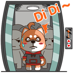 汪小趣_DDDXXX-站酷ZCOOL