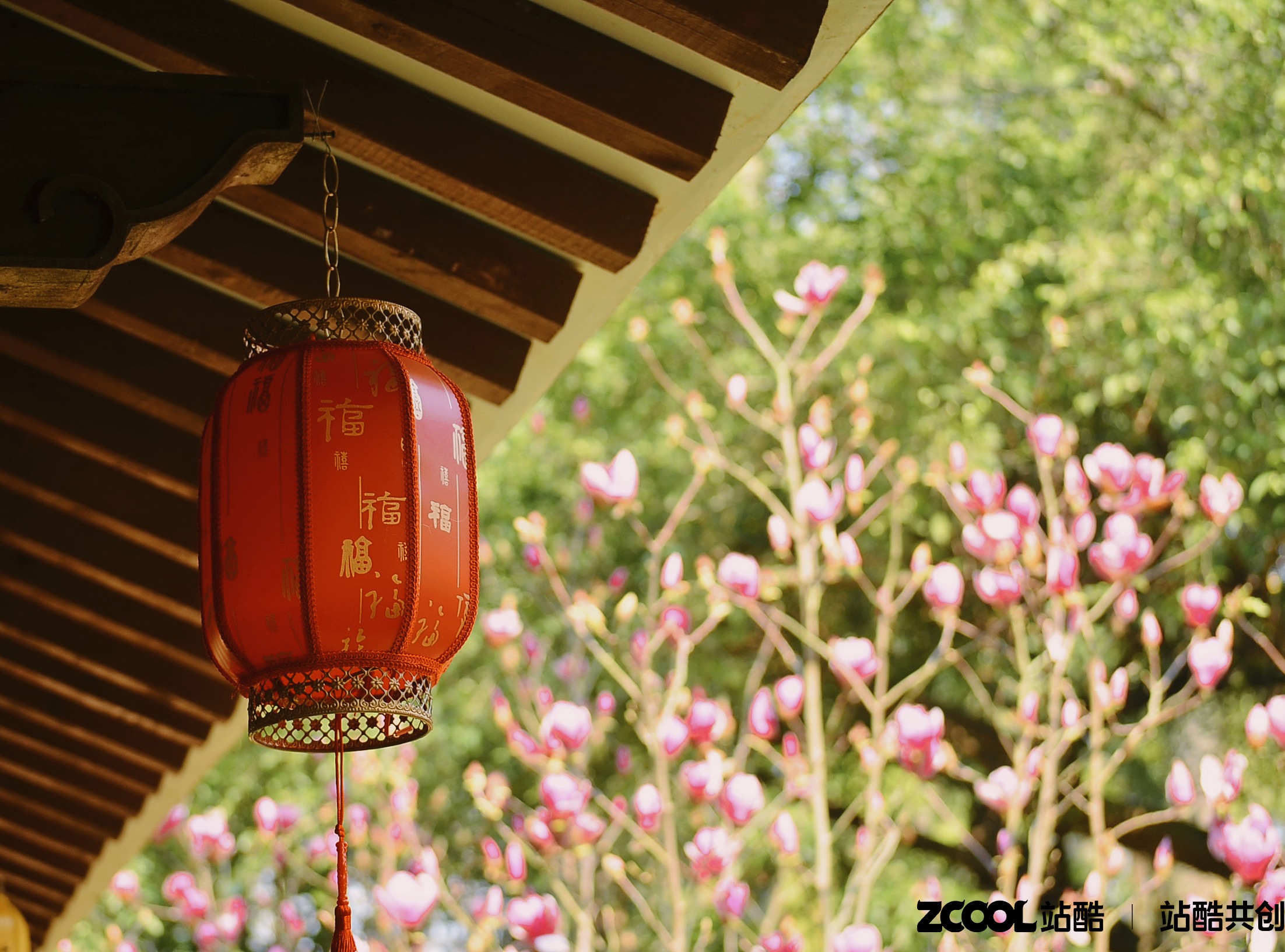 春_卷毛呆丁-站酷ZCOOL