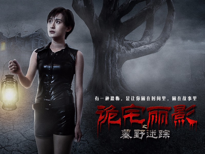 网大《诡宅丽影之墓野谜踪》主视觉海报设计_大东Davey-站酷ZCOOL