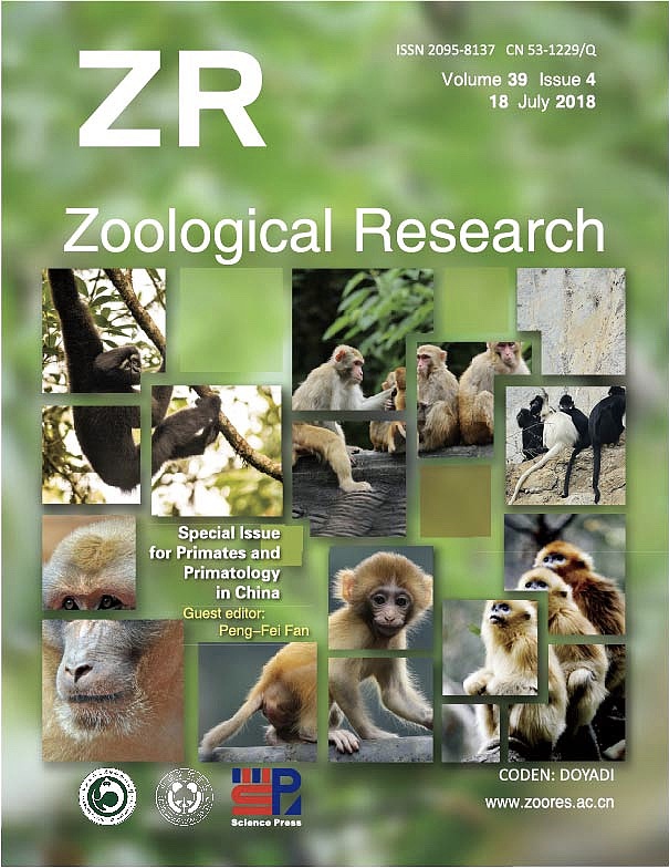 Zoological Research 封面设计_A米boo-站酷ZCOOL