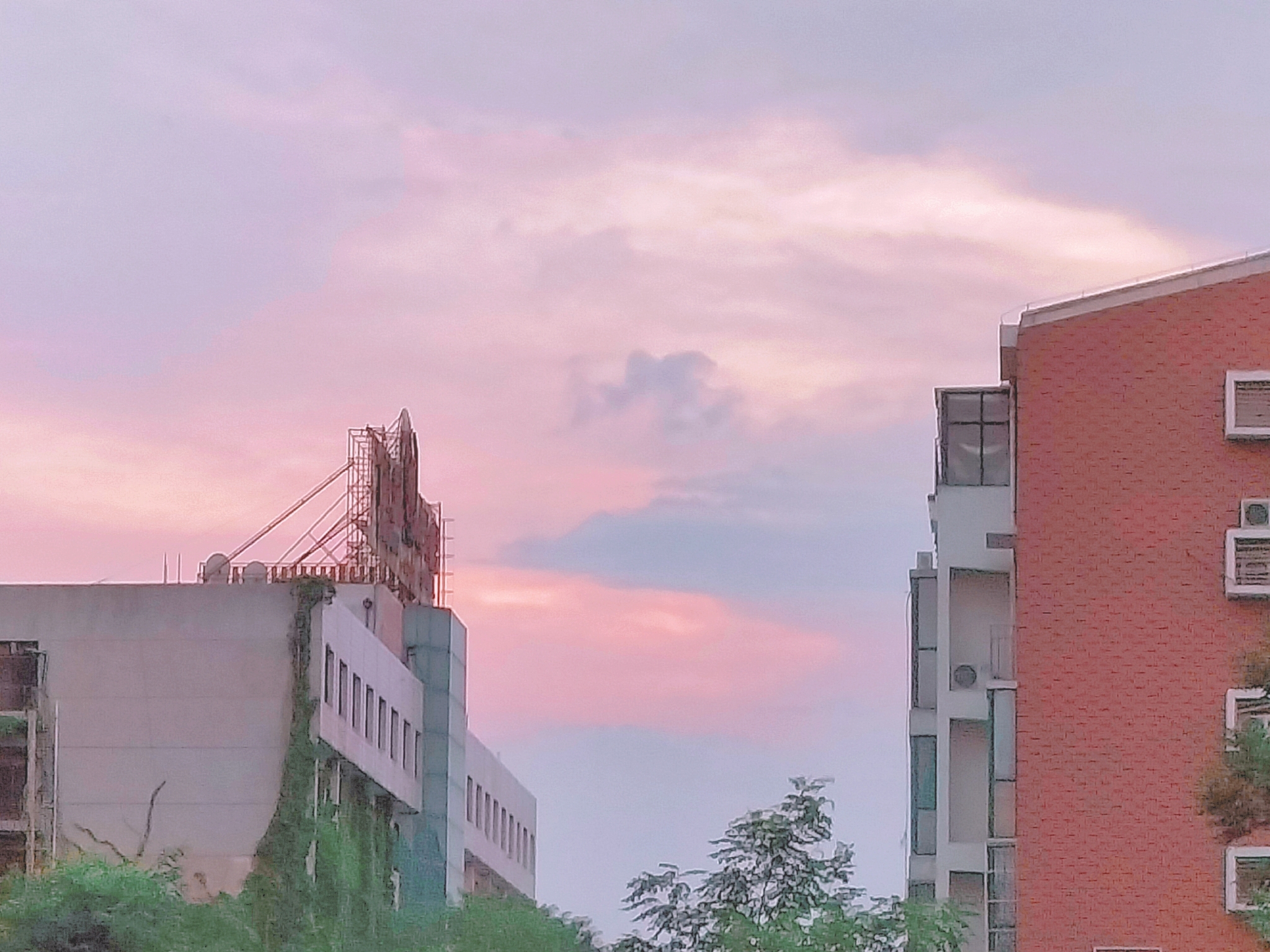 天真永不消逝，浪漫致死不渝_草莓酱纳斯-站酷ZCOOL