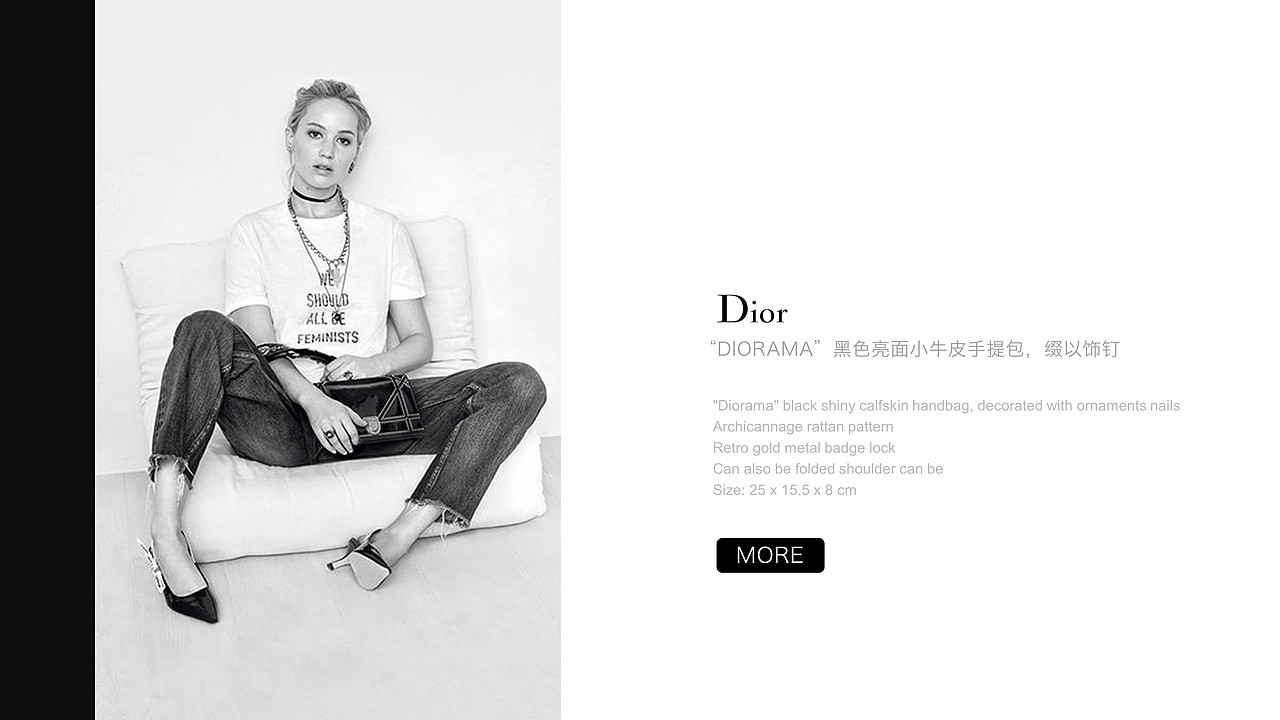 Dior PPT制作_不做不休-站酷ZCOOL