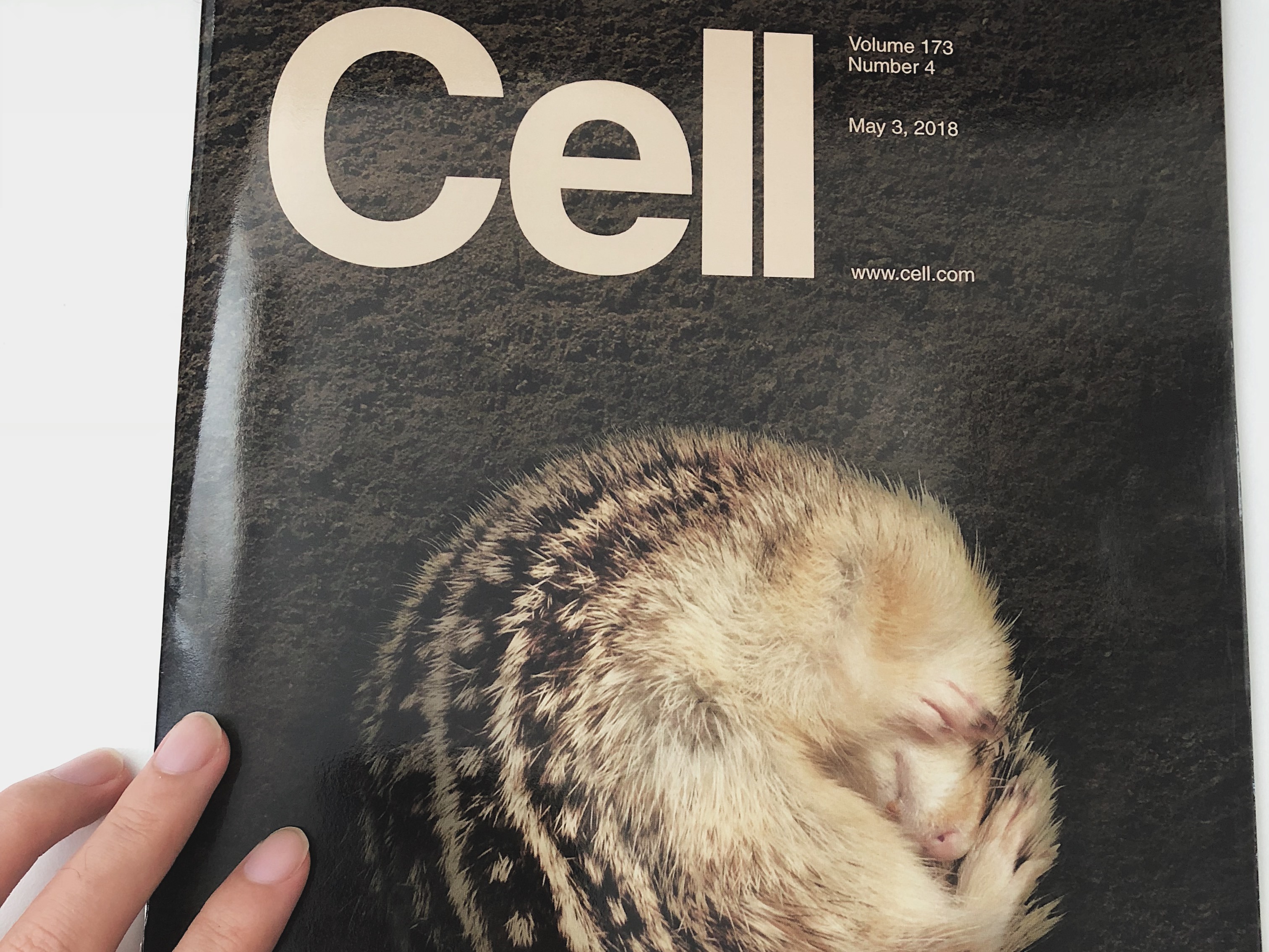 Cell 封面设计 Vol 173 NO.4_resiky-站酷ZCOOL