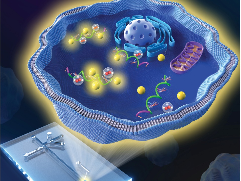 杂志封面设计科研画图TOC示意图学术文章配图SCI绘图_北京中科幻彩-站酷ZCOOL