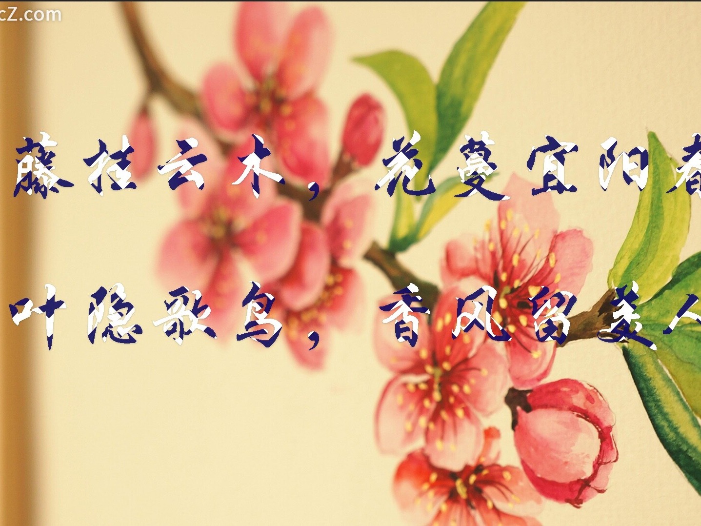 水纹纹理PS样式_mac开心-站酷ZCOOL