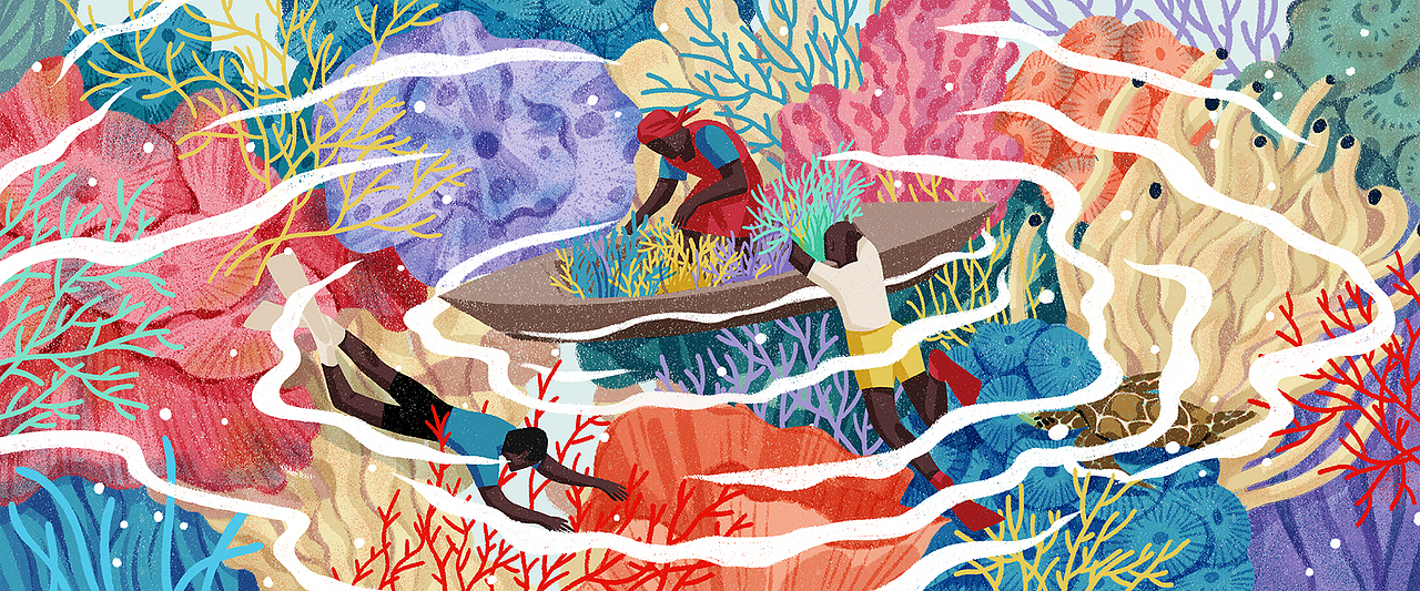 ADAMA 海藻插画包装_王雪曈Tong-站酷ZCOOL