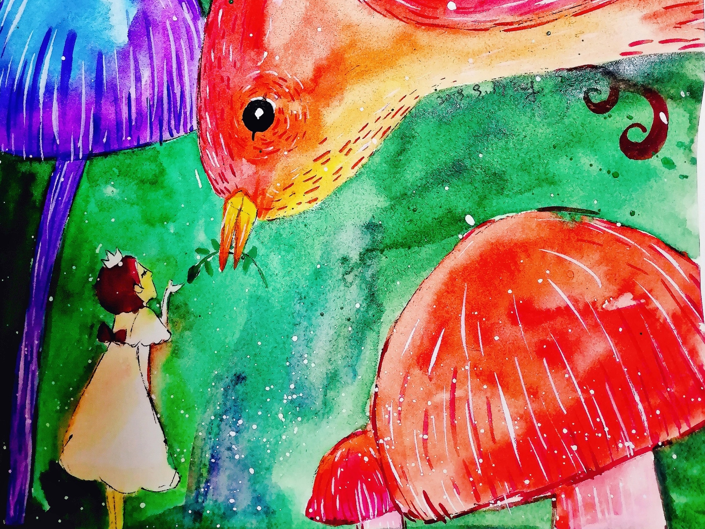 蘑菇鸟_s云1990-站酷ZCOOL