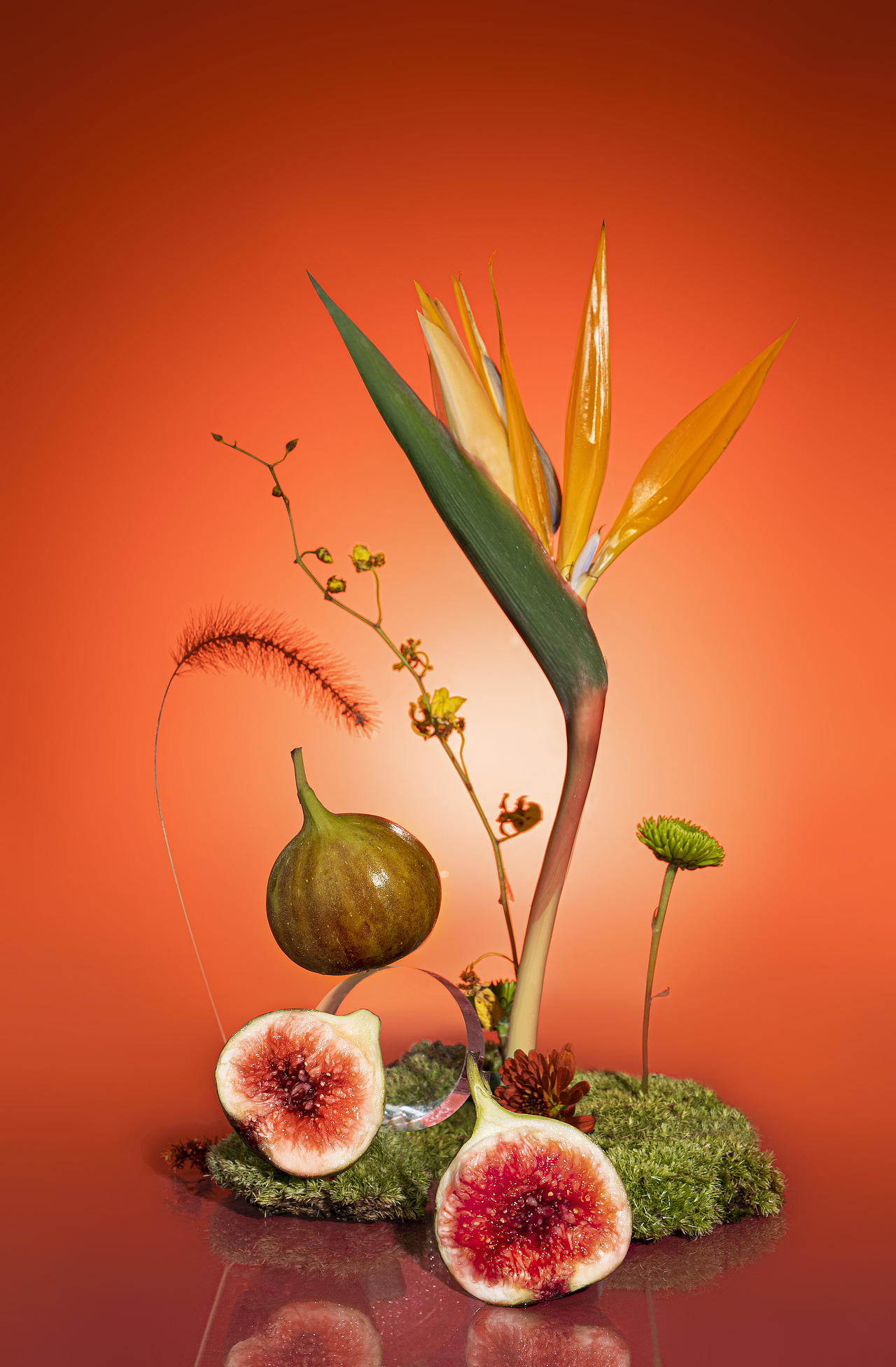 小鹿欢腾水果创意摄影_xiao猜-站酷ZCOOL