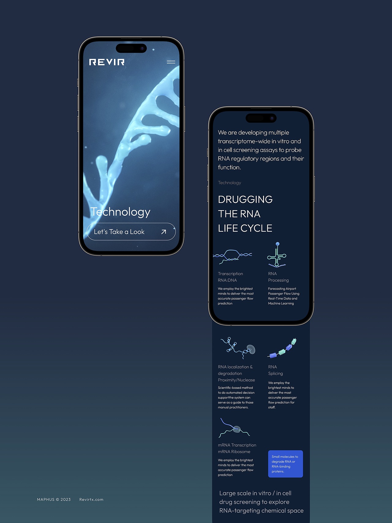 REVIR x MAPHUS 品牌海外官网视觉升级全案_创裔东方MAPHUS-站酷ZCOOL