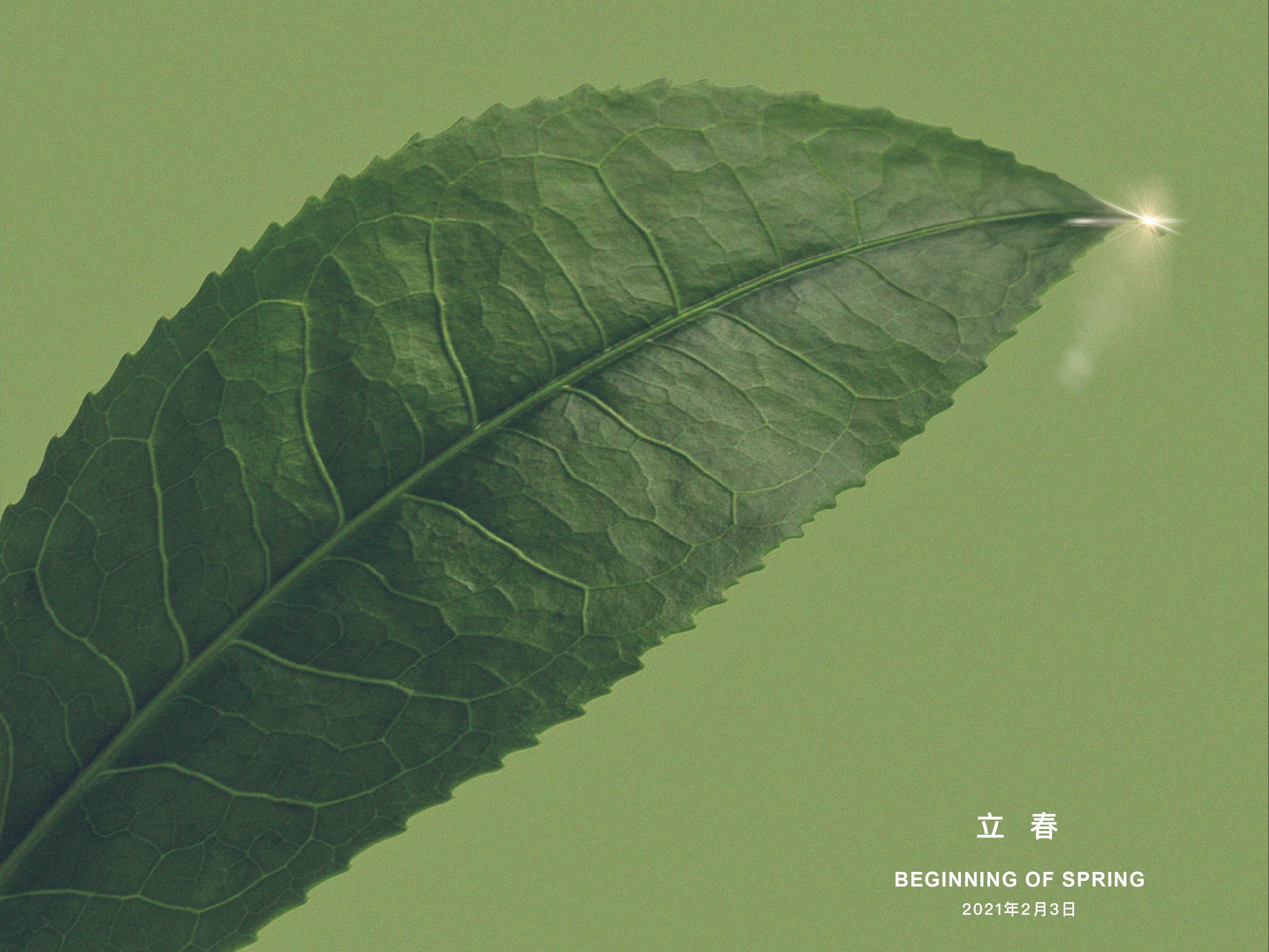 立春（2021）_曦沐灬-站酷ZCOOL