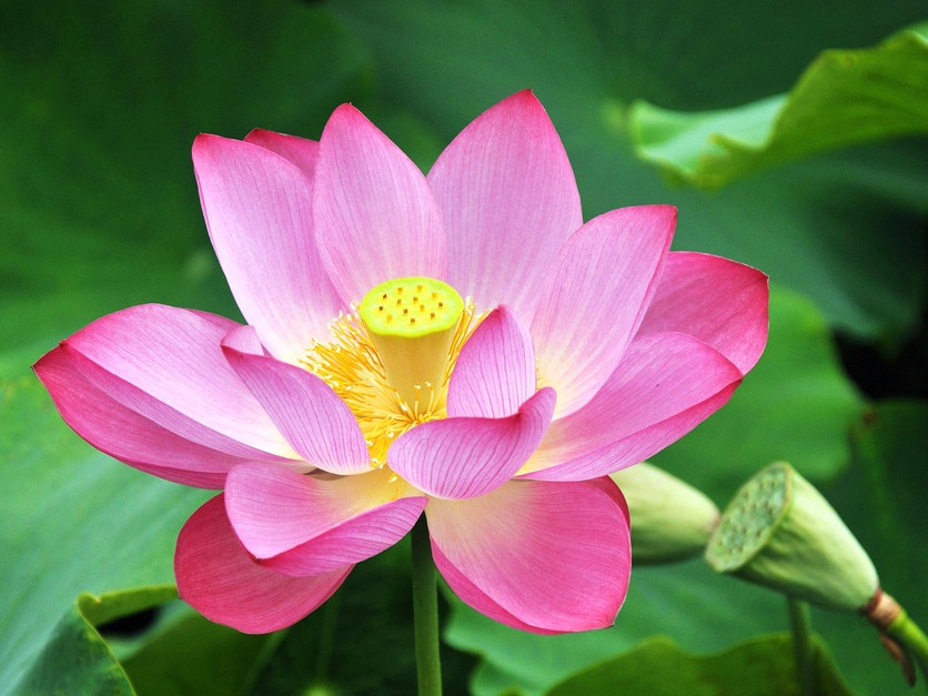 网页_Doramei-站酷ZCOOL