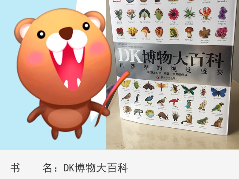 读书清单-DK博物大百科-021_永不言败A-站酷ZCOOL