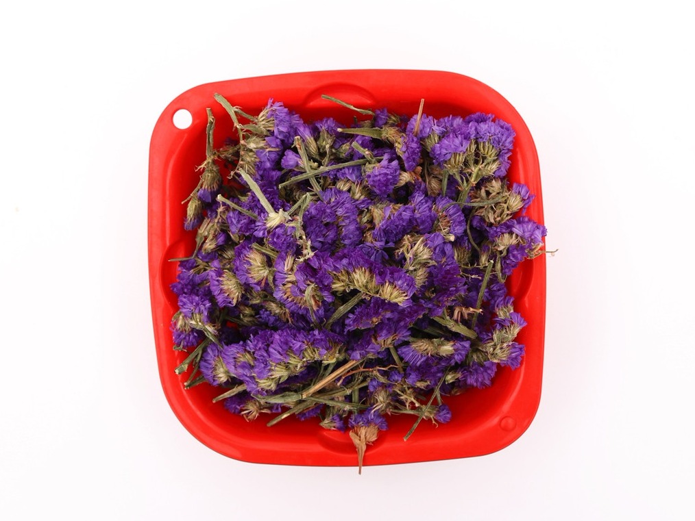 B21-勿忘我X1-11P_图海网yjh-站酷ZCOOL