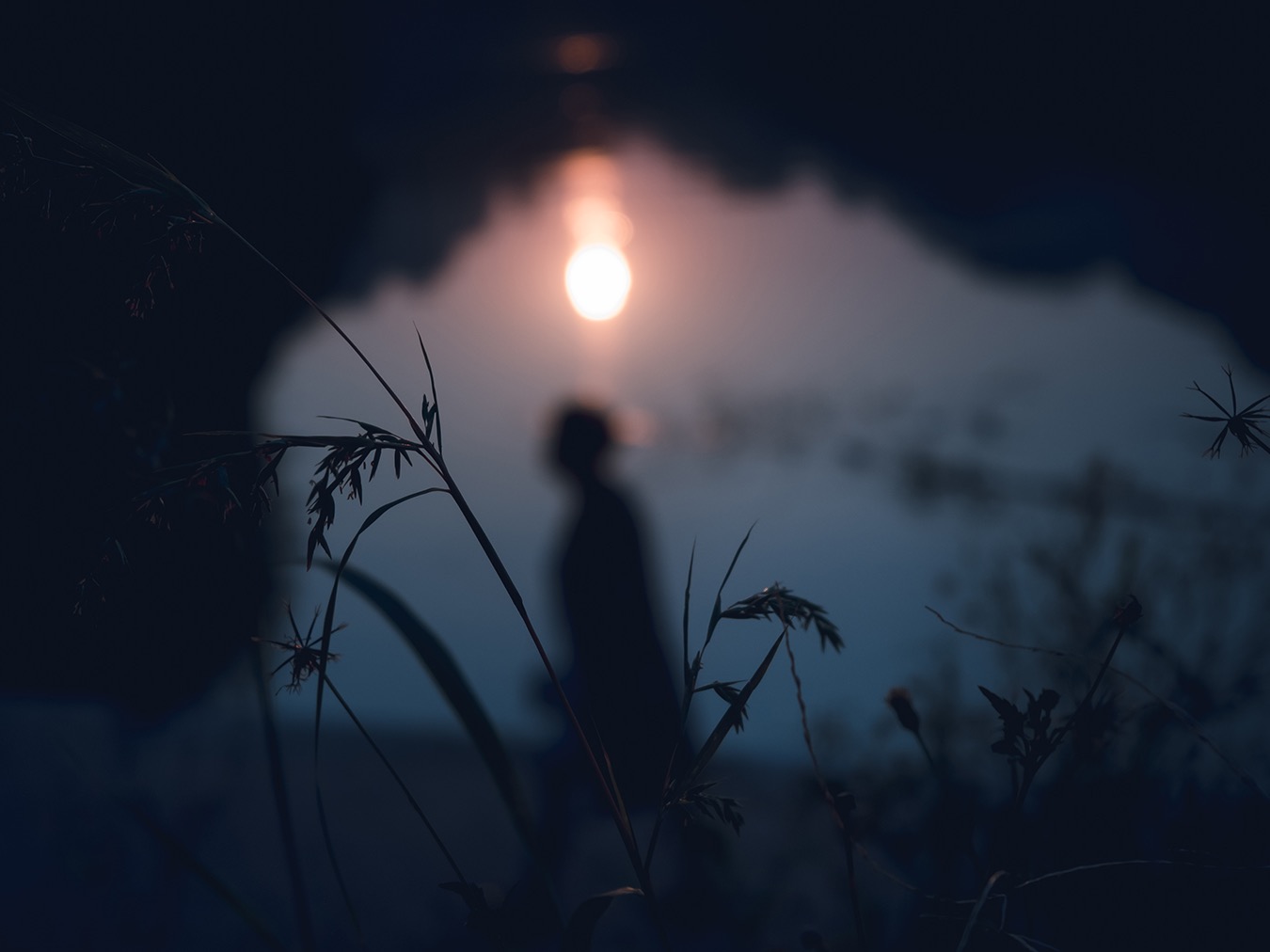 仲夏之梦_RainCi-站酷ZCOOL