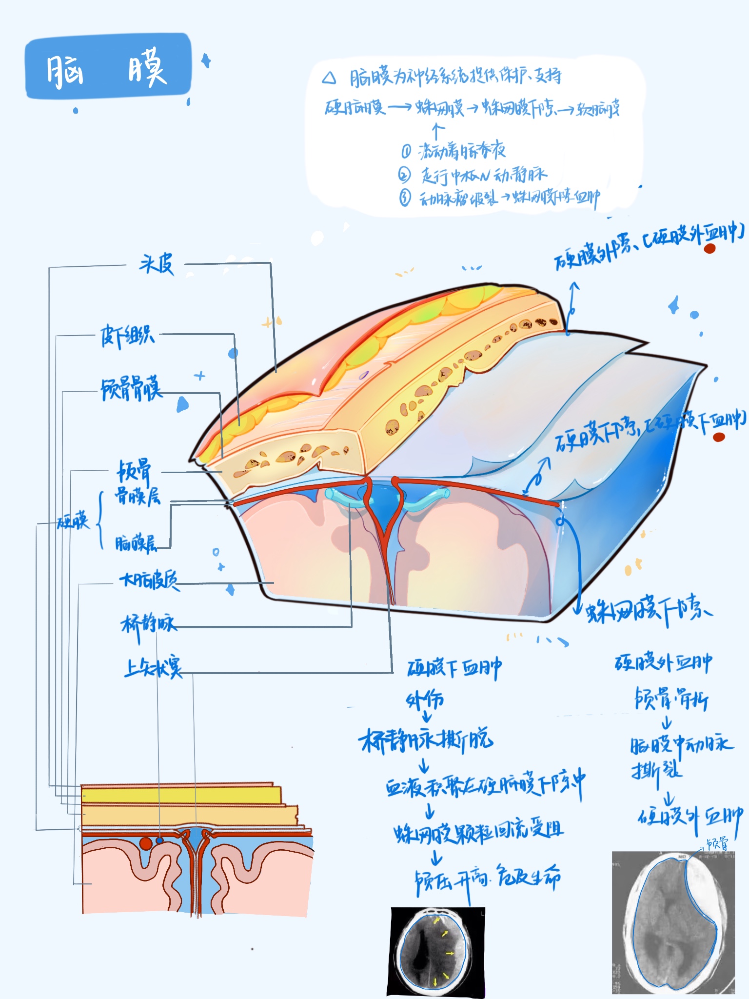 医学插画_素材网站_图片免费下载-ZCOOL站酷