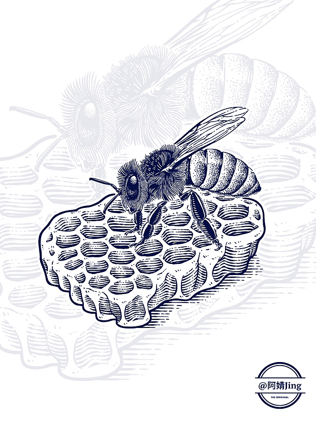 原创插画｜蜜蜂与蜂蜜_阿婧Jing插画-站酷ZCOOL