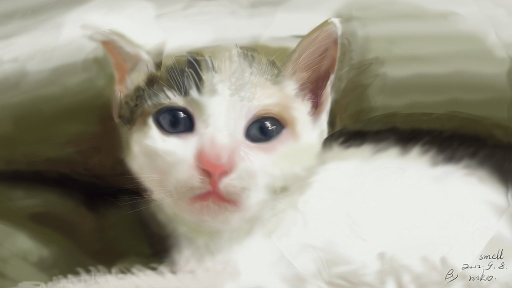 My cat Smel_Nikoguo-站酷ZCOOL