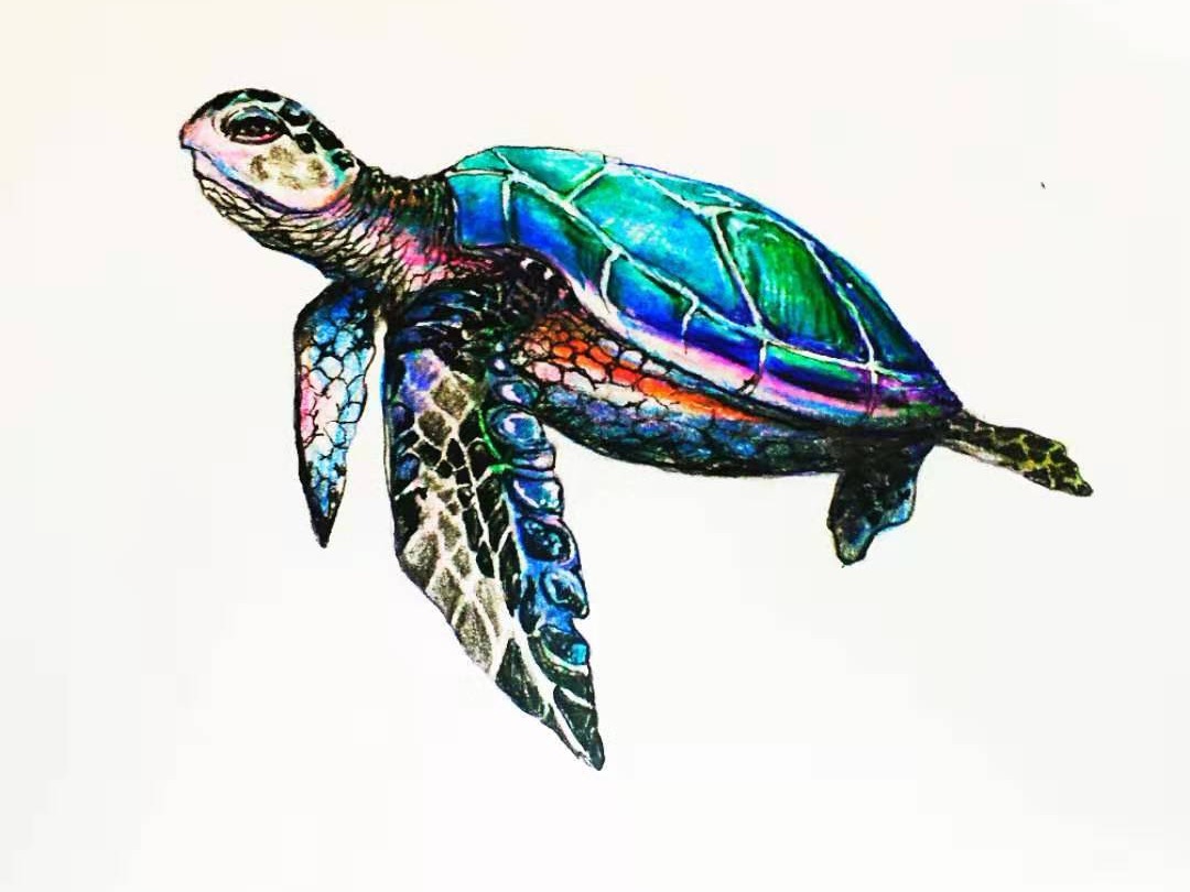 一些彩铅手绘_zhoumodaxian-站酷ZCOOL