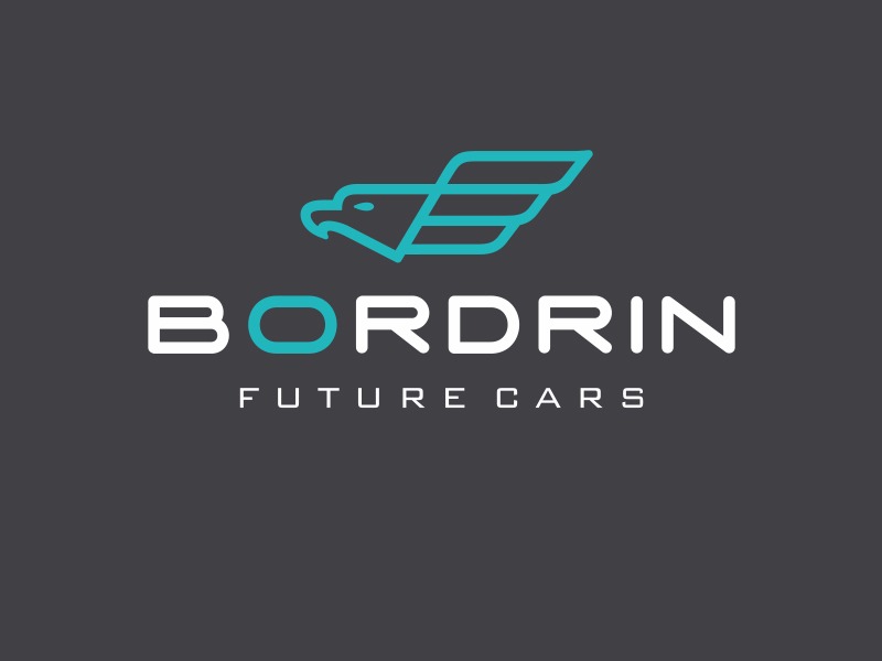 bordrin logo desgin_设计师飞杨-站酷ZCOOL