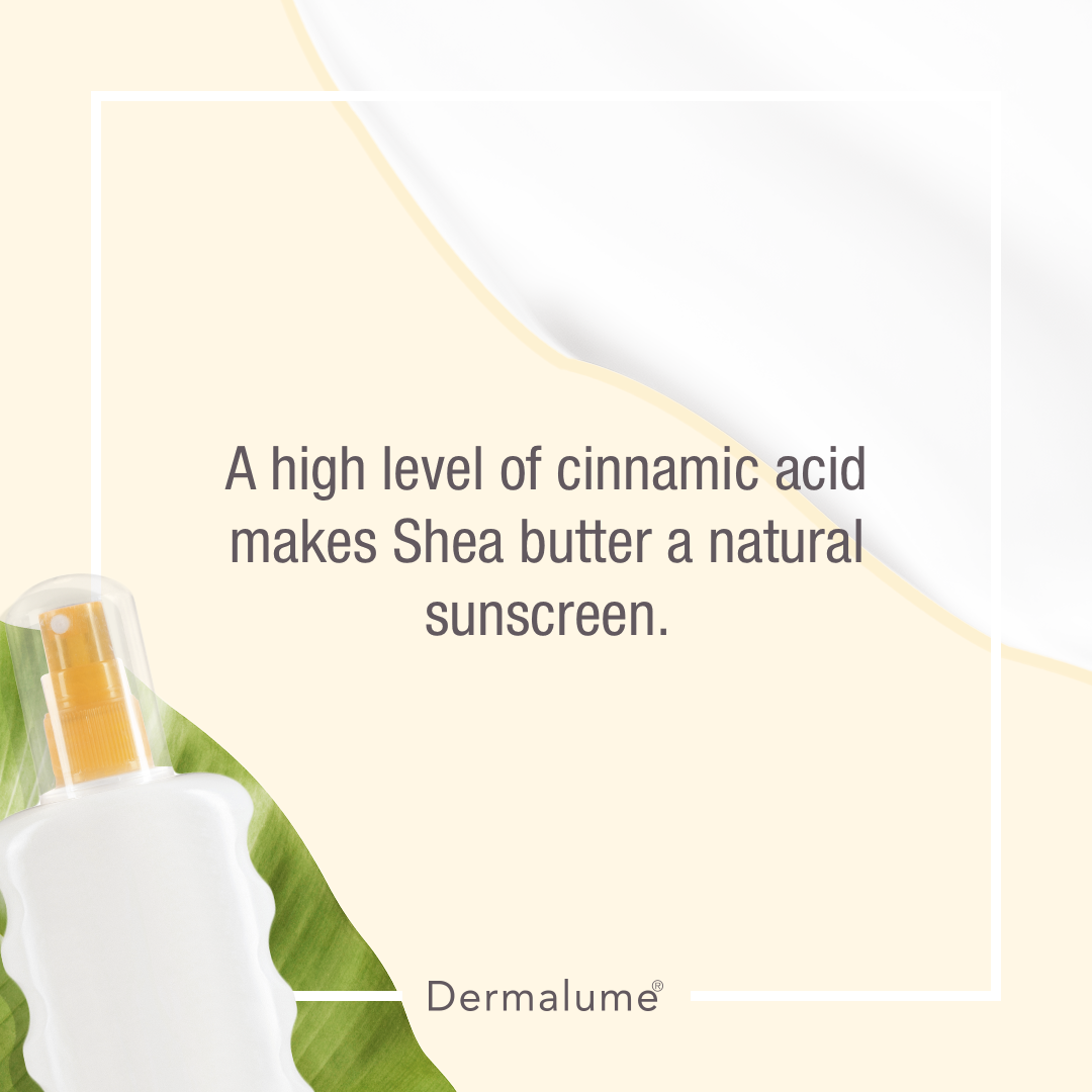 ins风格Dermalume黛美珑香水手霜女王面膜澳洲产品_宝咖咖-站酷ZCOOL