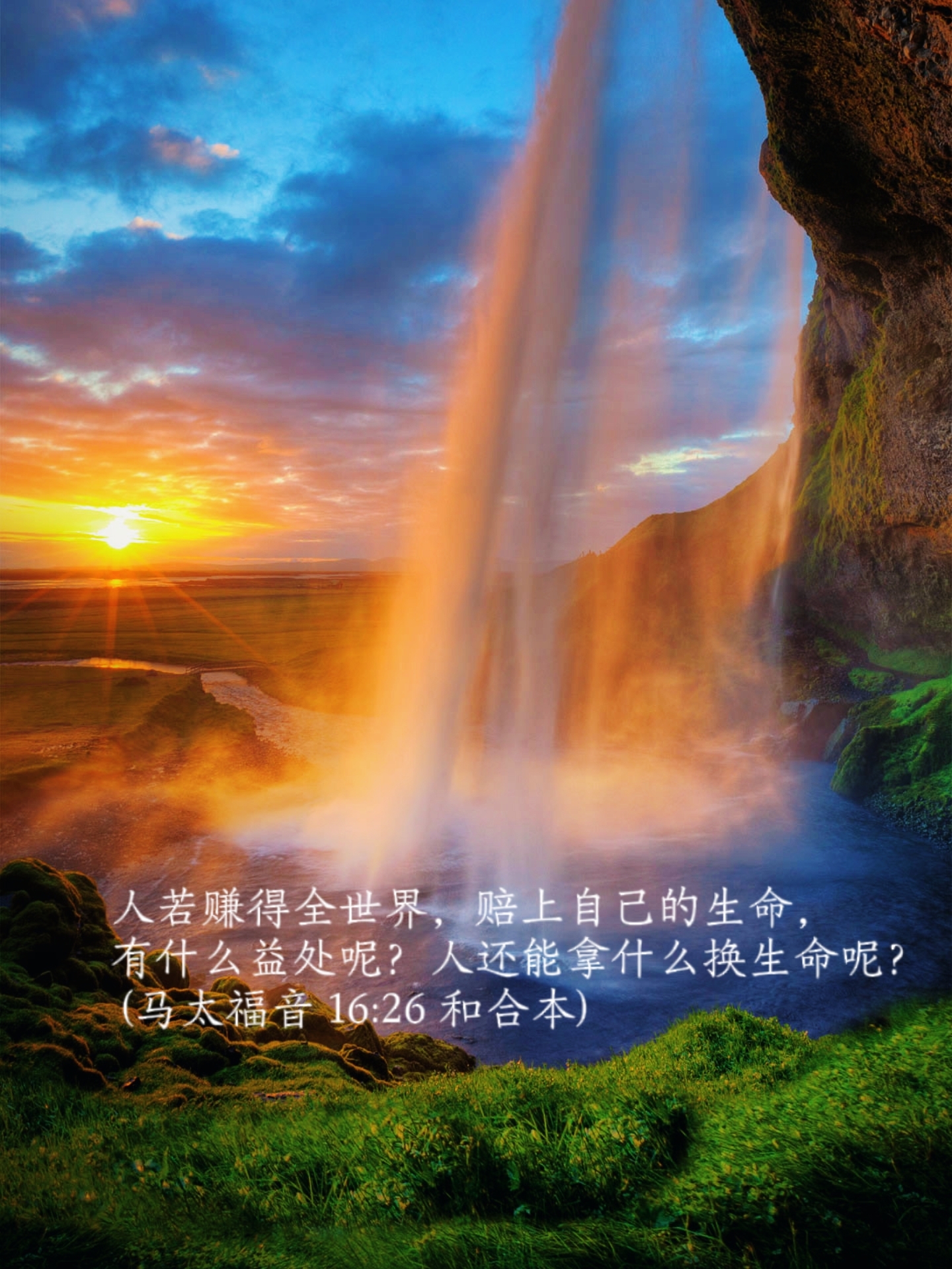 真理_米杨MiYang-站酷ZCOOL