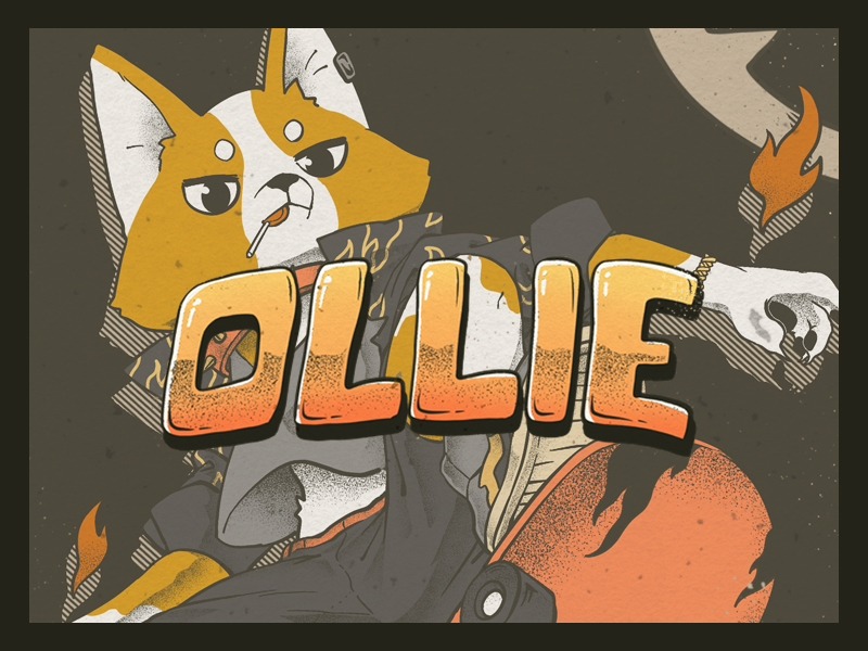 丨28天丨速写打卡挑战 - OLLIE Ⅱ_猫盒二三-站酷ZCOOL