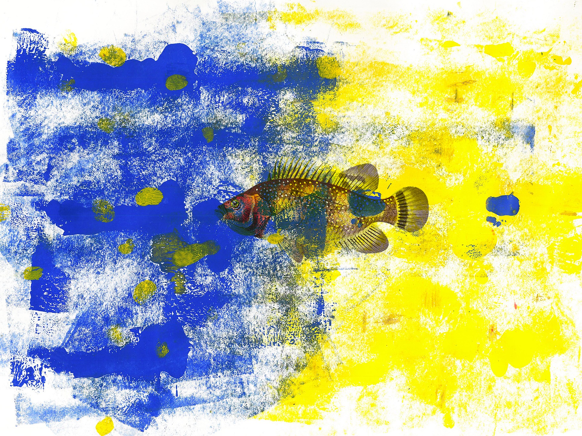 Fantastic Sea&Fish 4_Wendy铁头三娃-站酷ZCOOL