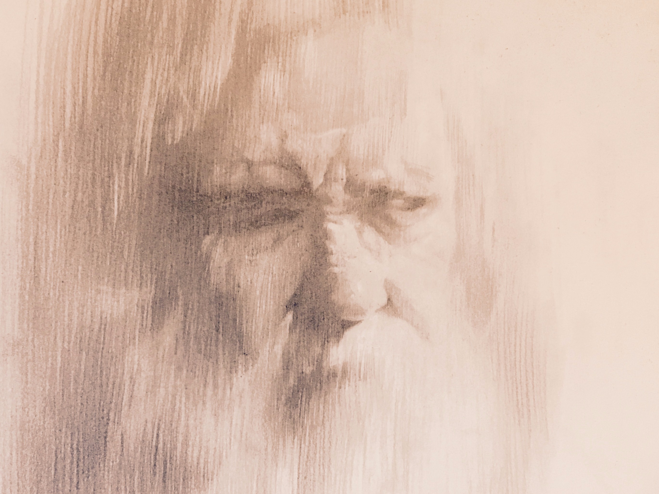 素描习作2018_闫怀-站酷ZCOOL