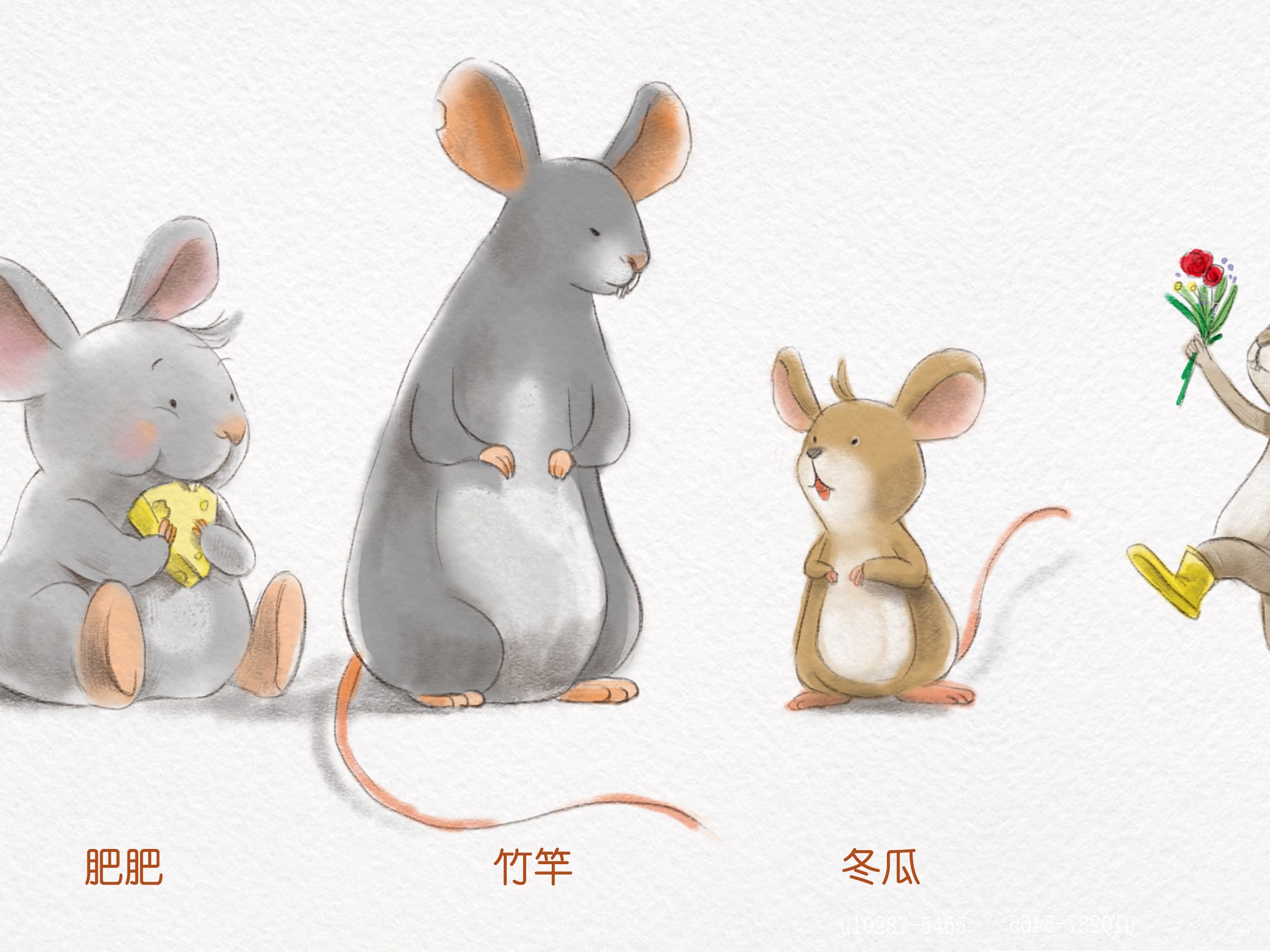 画了四只小老鼠，参考了很多资料，第一次画老鼠_阿秋插画aggie-站酷ZCOOL