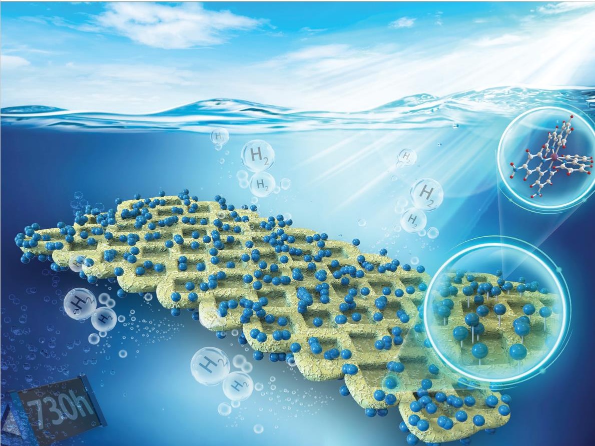 杂志封面设计科研画图TOC示意图学术文章配图SCI绘图_中科幻彩-站酷ZCOOL