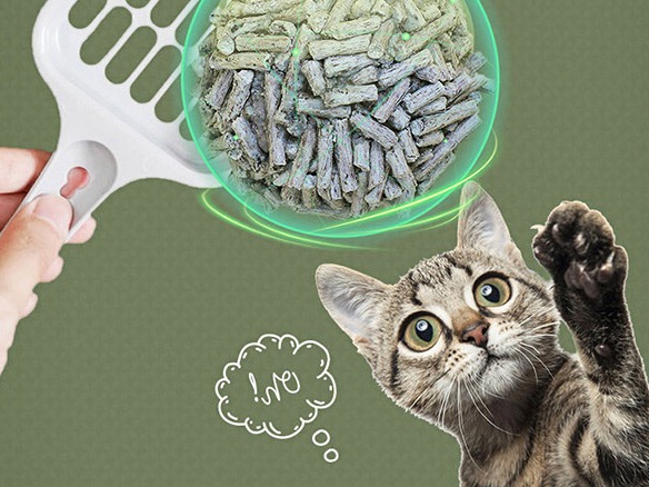 宠物用品-猫砂_大发110-站酷ZCOOL