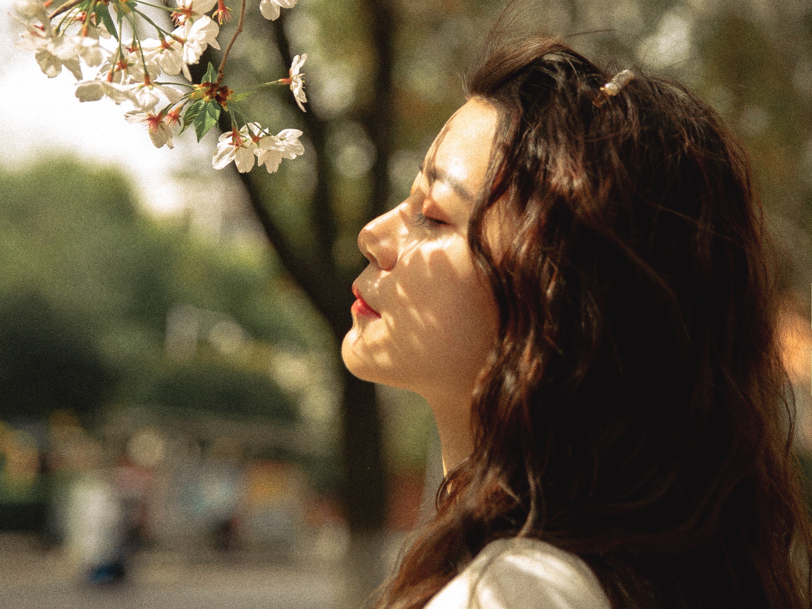 yu_大禾y-站酷ZCOOL