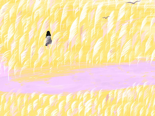 回顾——2019都画了些啥_一颗小栗子liliz-站酷ZCOOL