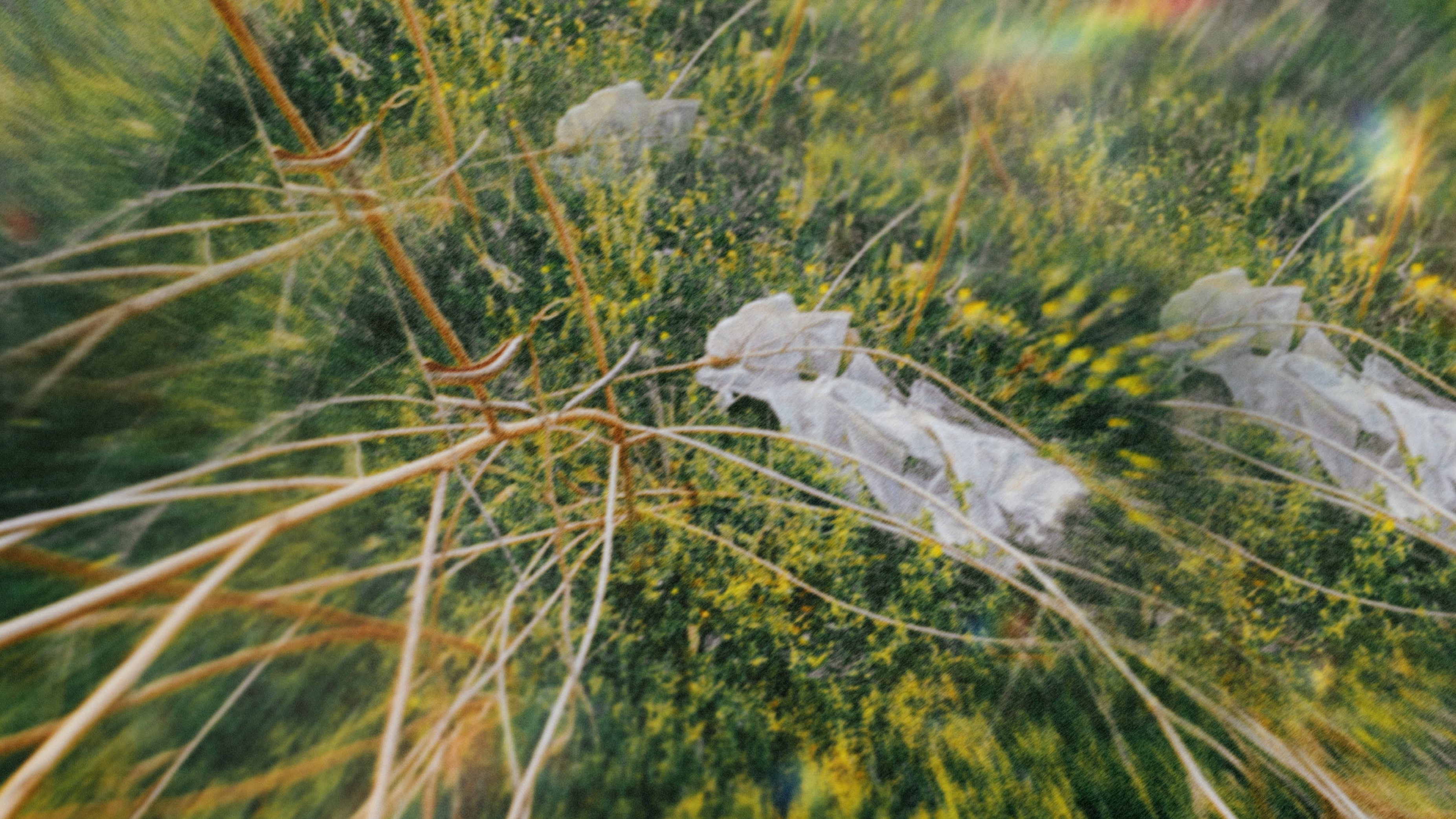 20240408_Botege-站酷ZCOOL