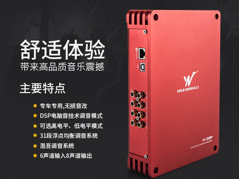 野兽汽车音响野兽DSP_黑夜中的星星-站酷ZCOOL