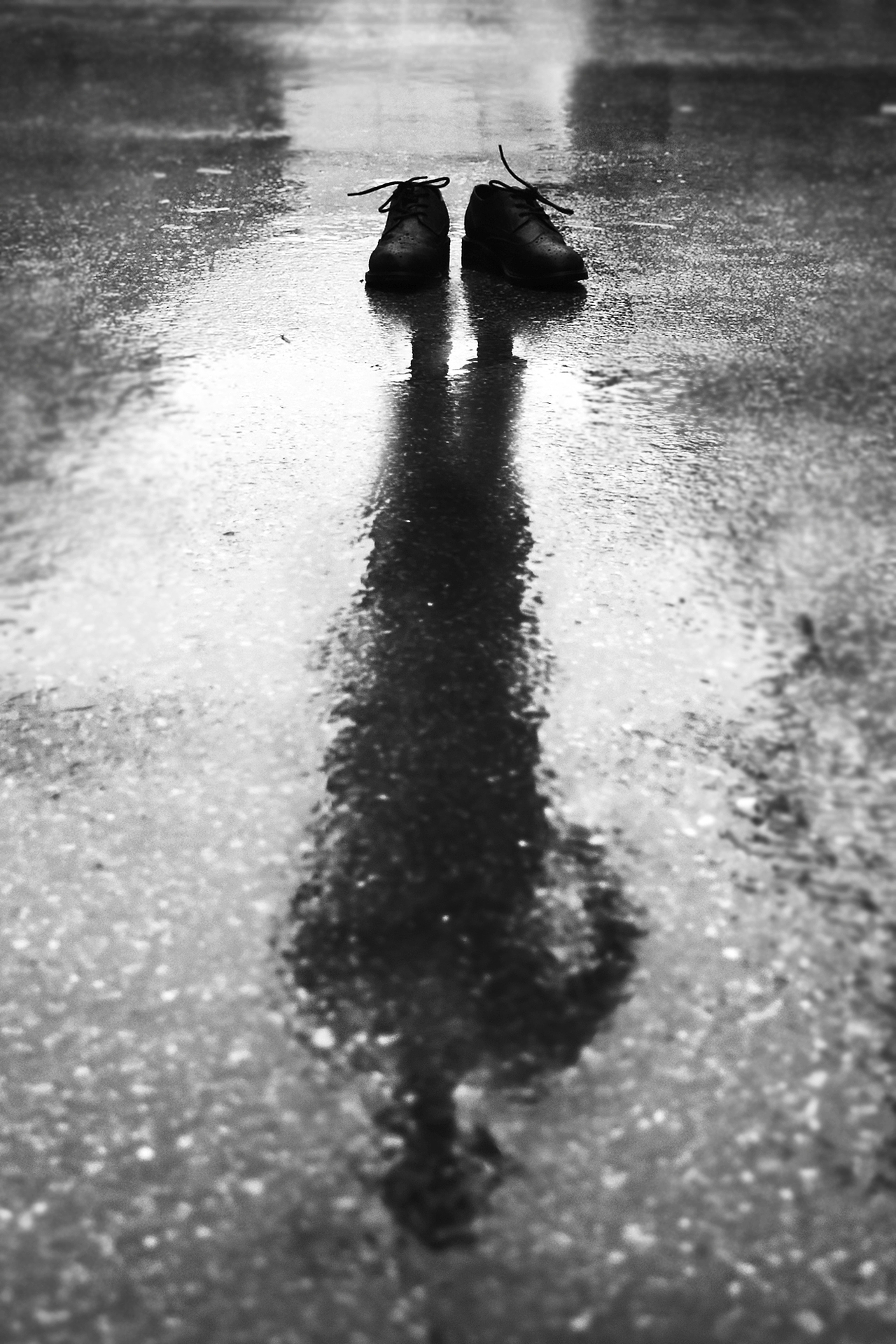 雨中曲_树云Serene-站酷ZCOOL