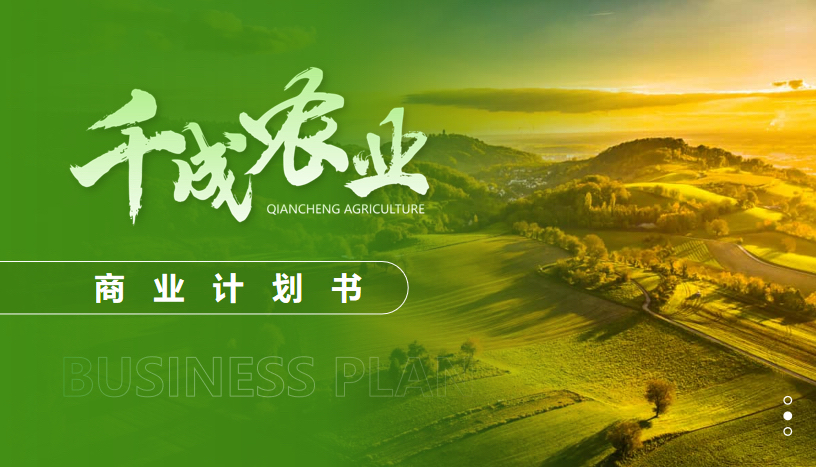 2023乡村振兴农业4.0项目黑猪认养商业计划书-31P_精英策划圈-站酷ZCOOL