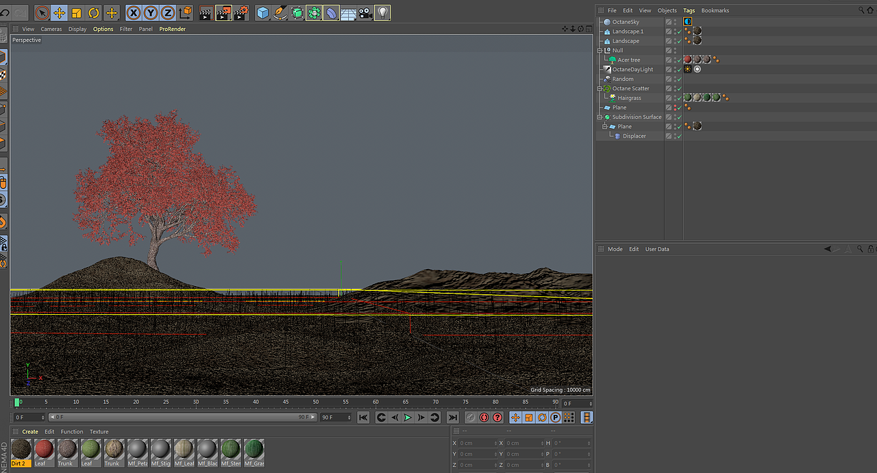 荒漠里的生命_Adaer-站酷ZCOOL