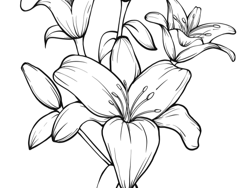 花枝摇曳_迷鹿milu-站酷ZCOOL