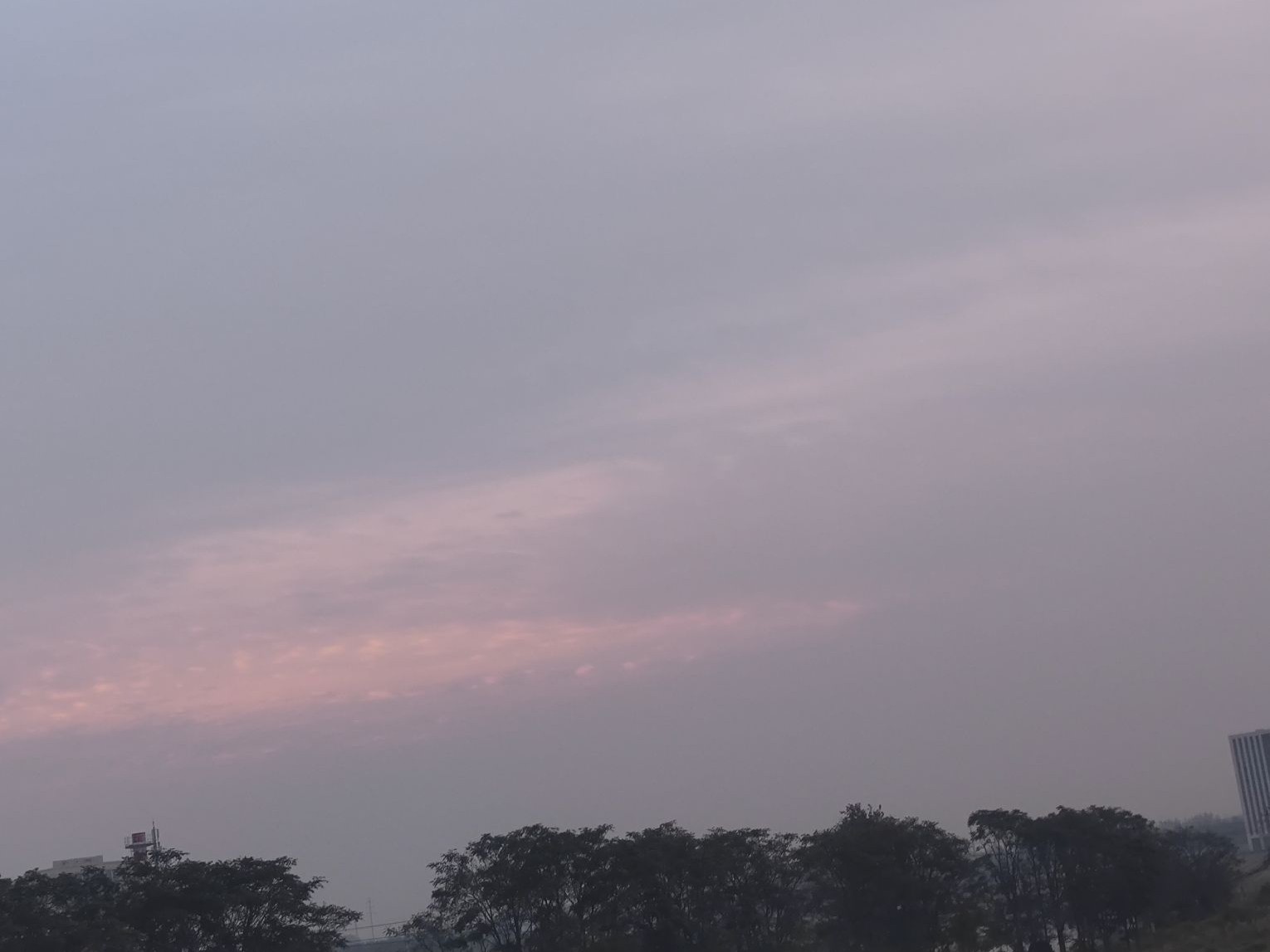 阴晨_萝卜萝卜熊-站酷ZCOOL