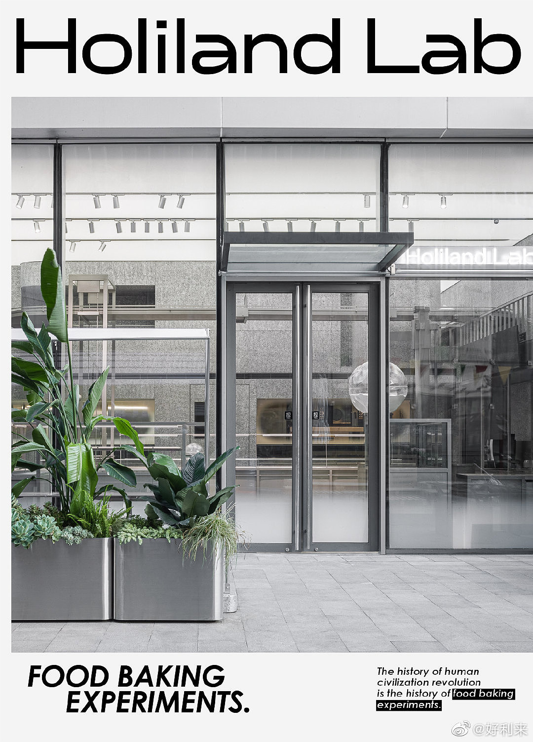 Holiland Lab_好利来-站酷ZCOOL
