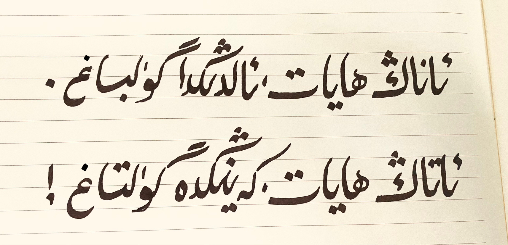 维吾尔族书法_Albom-站酷ZCOOL