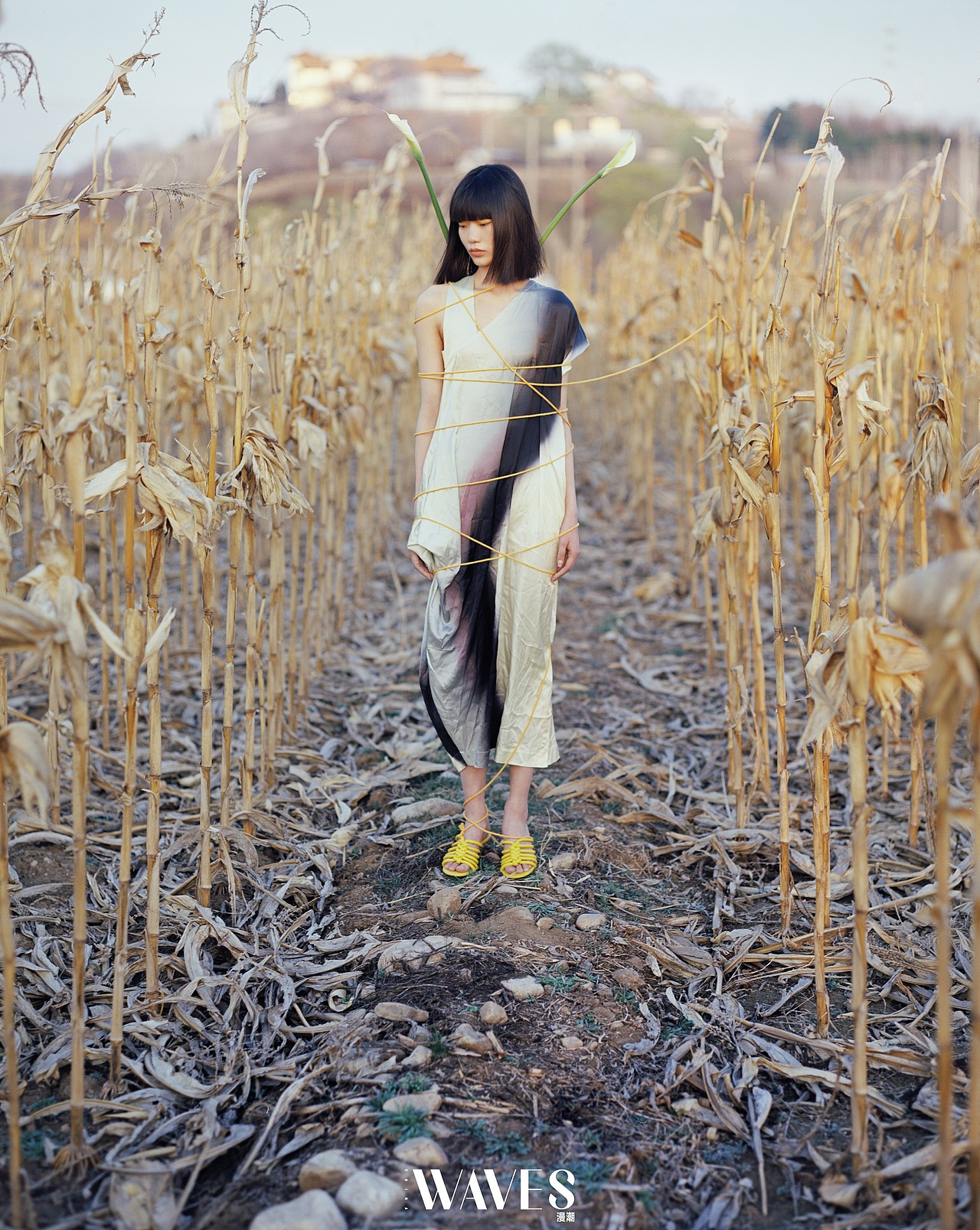 《沃野之风》_Bailly-站酷ZCOOL