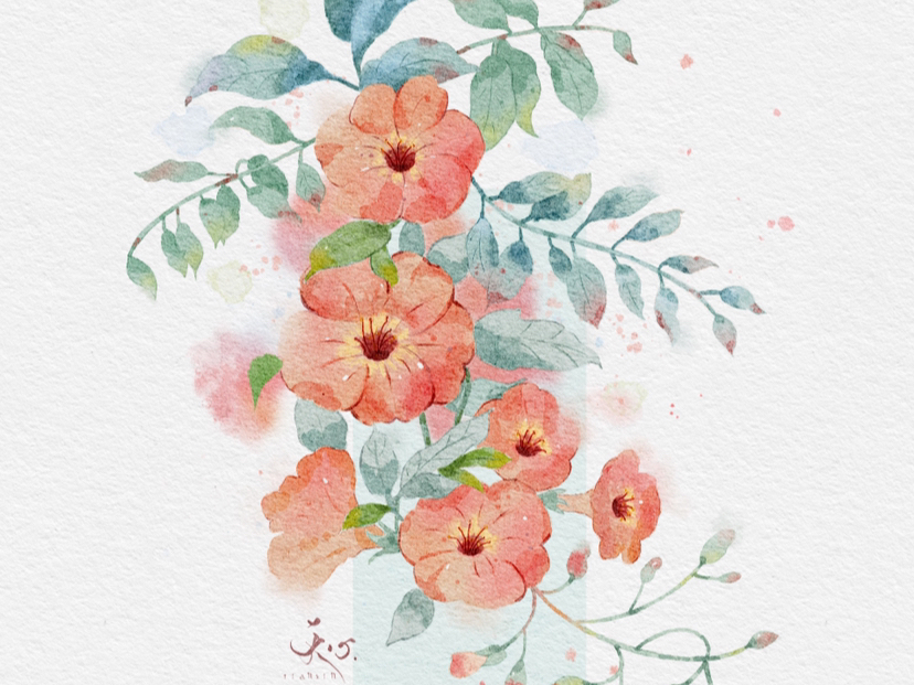 凌霄花_天心lydia-站酷ZCOOL