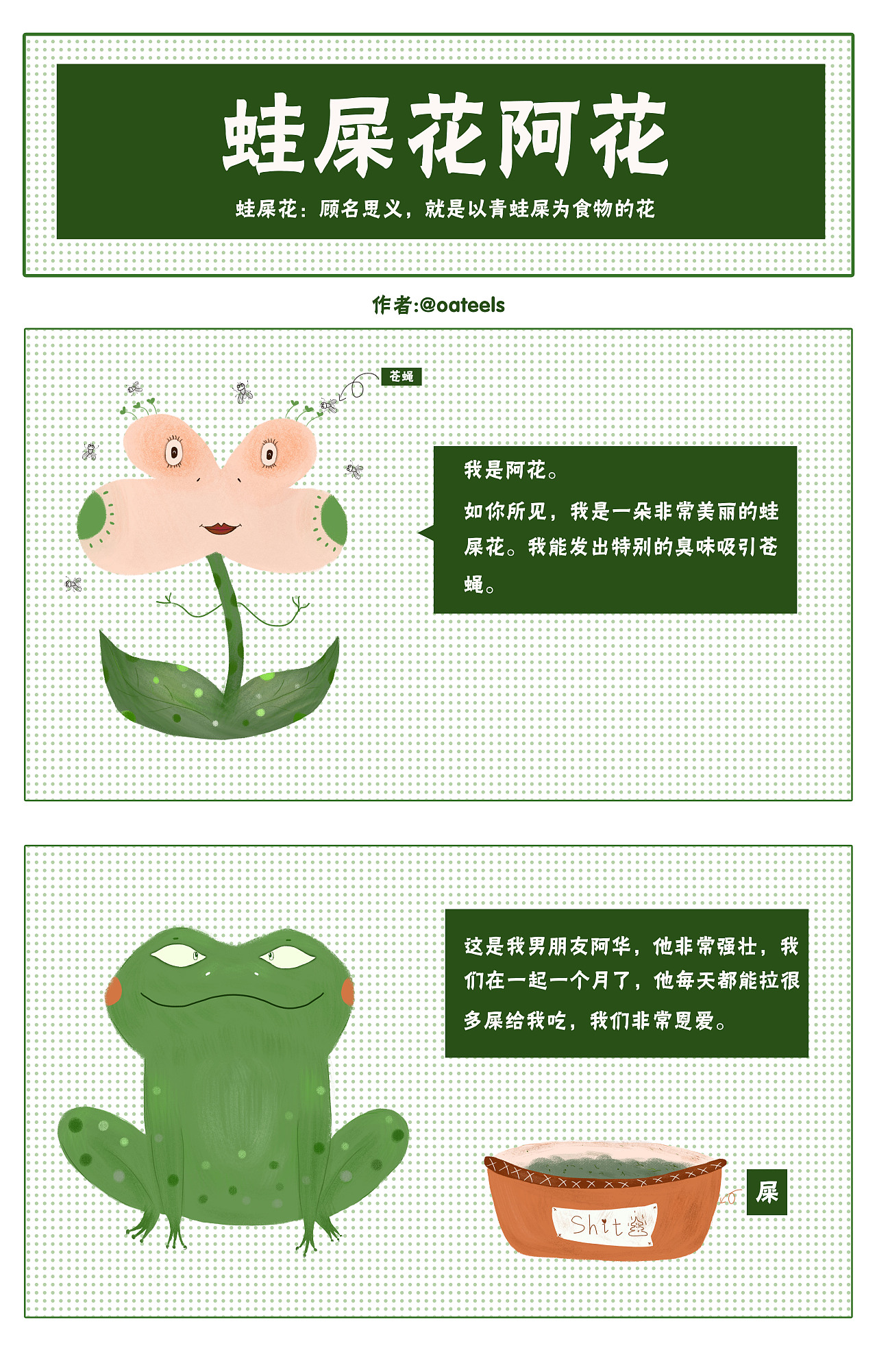 蛙屎花阿花:frog:_oateels-站酷ZCOOL