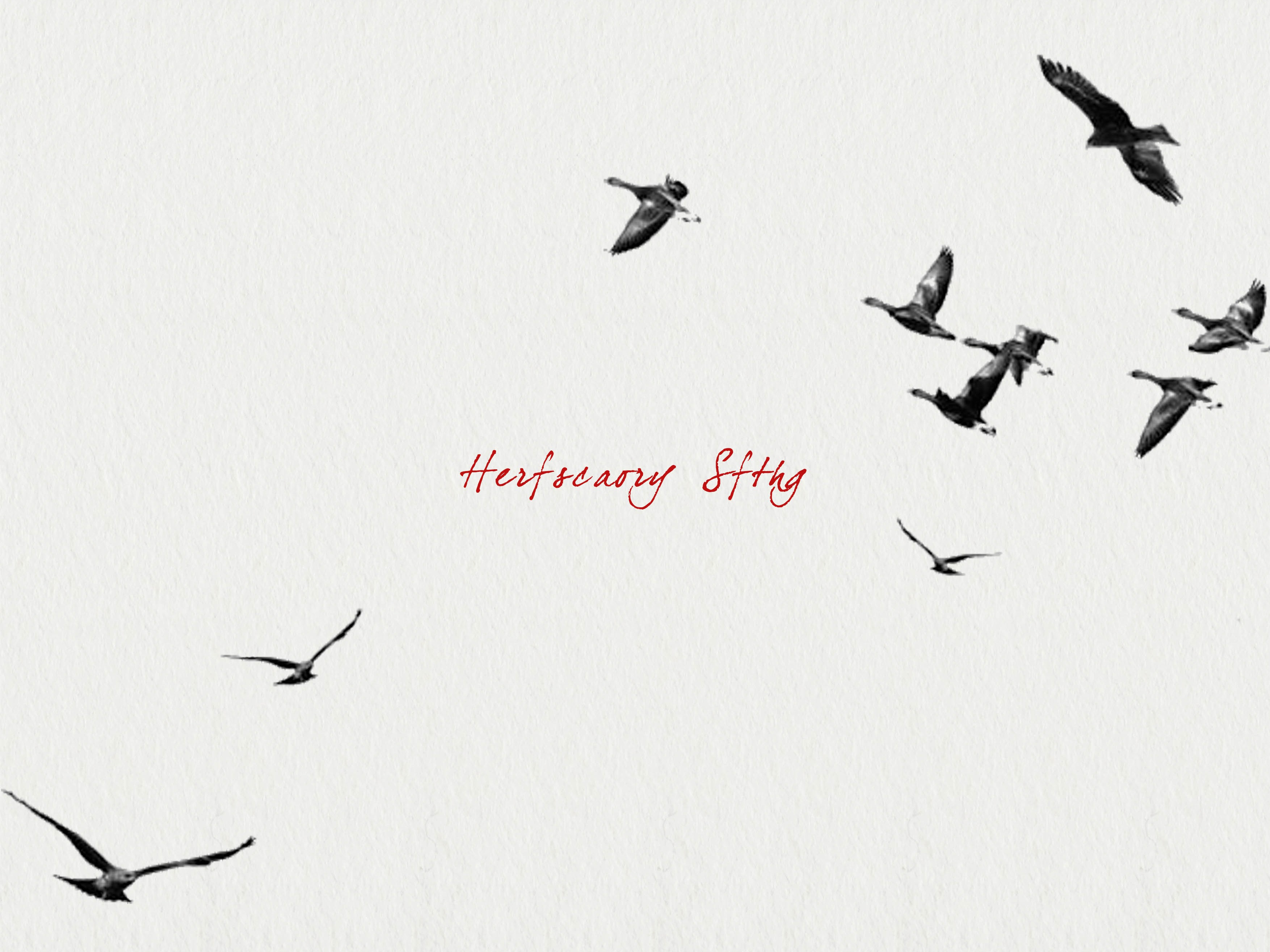 CD设计/唱片设计/Herfscaory Sfthg/练习_蓝若青-站酷ZCOOL