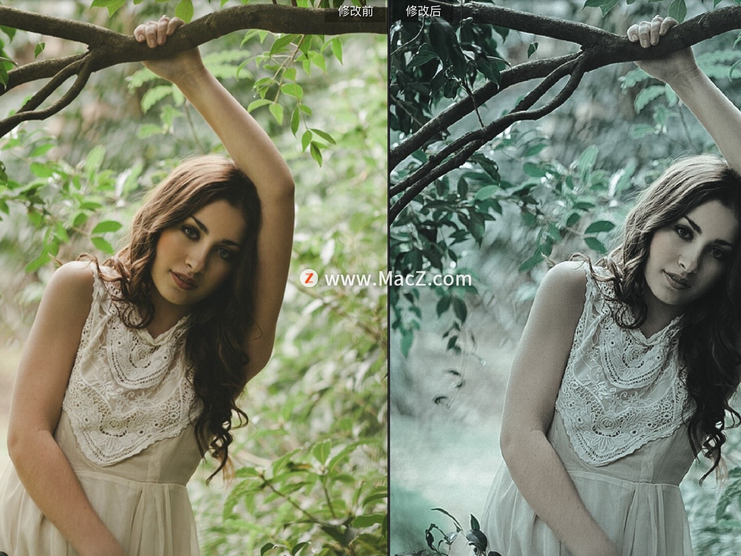 10个小巧通透的lr预设_星星星辰大海-站酷ZCOOL