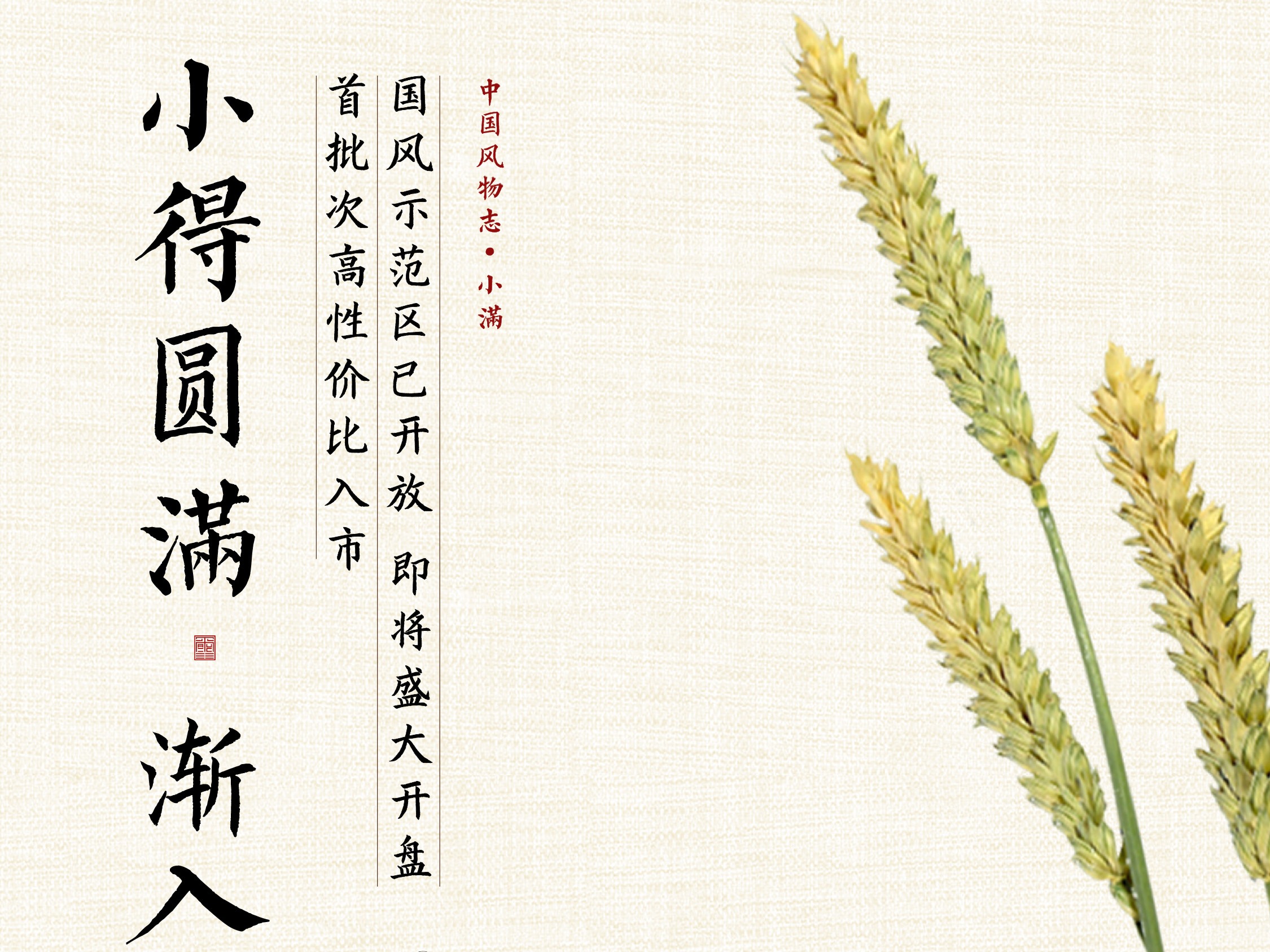 小满_莫小小MO-站酷ZCOOL