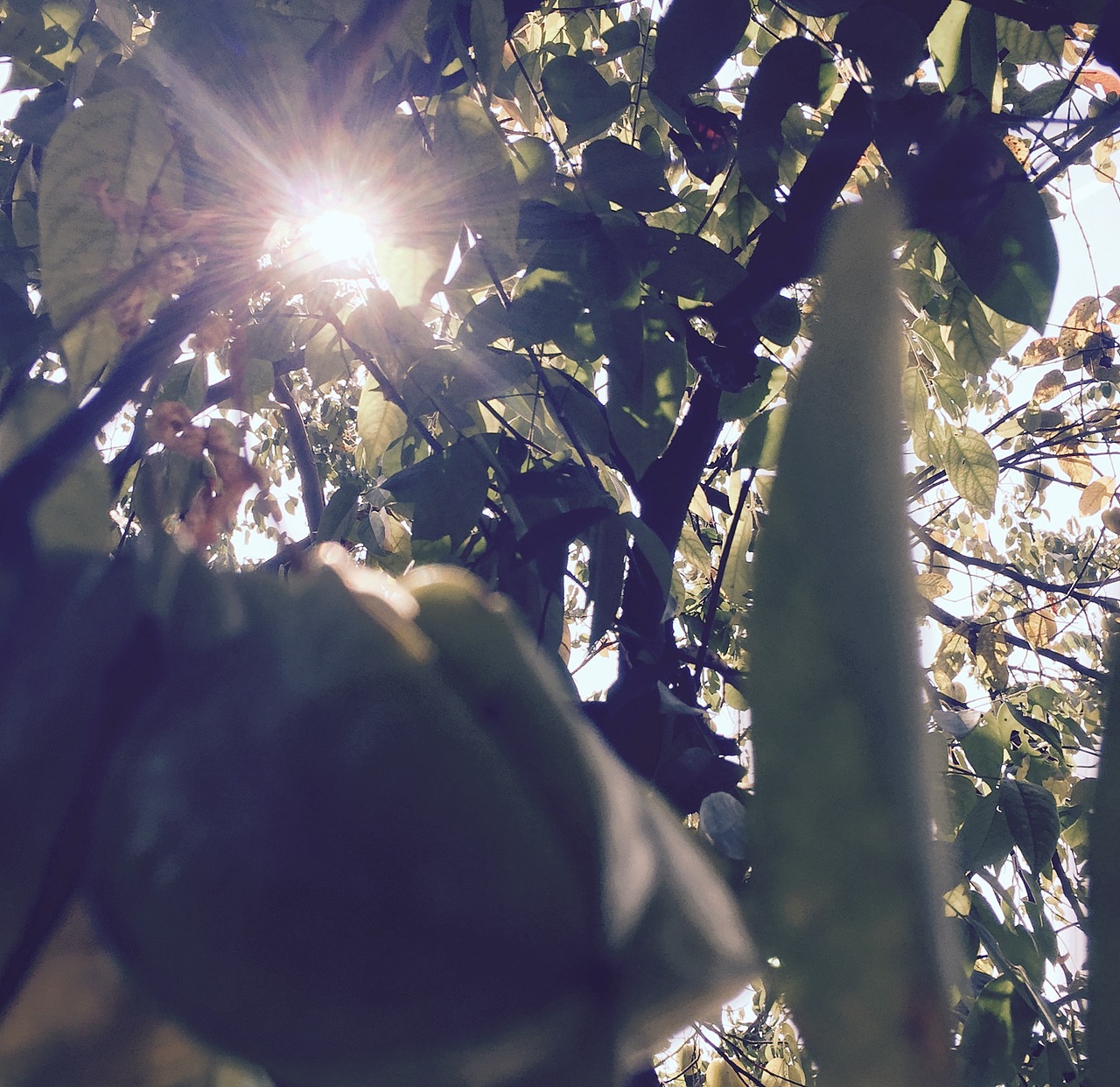 a_曦lip-站酷ZCOOL